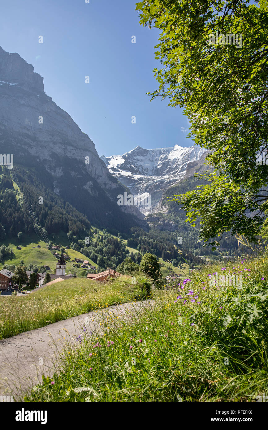 Switzerland, Alps, Berner Oberland, Grindelwald, Spring Stock Photo - Alamy