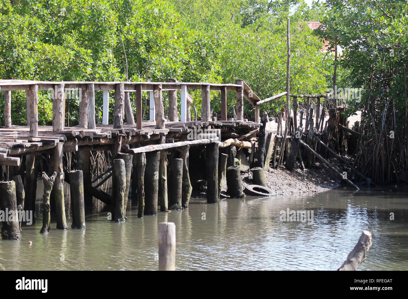 Old broken wooden bridge over the river, green tree background Stock ...