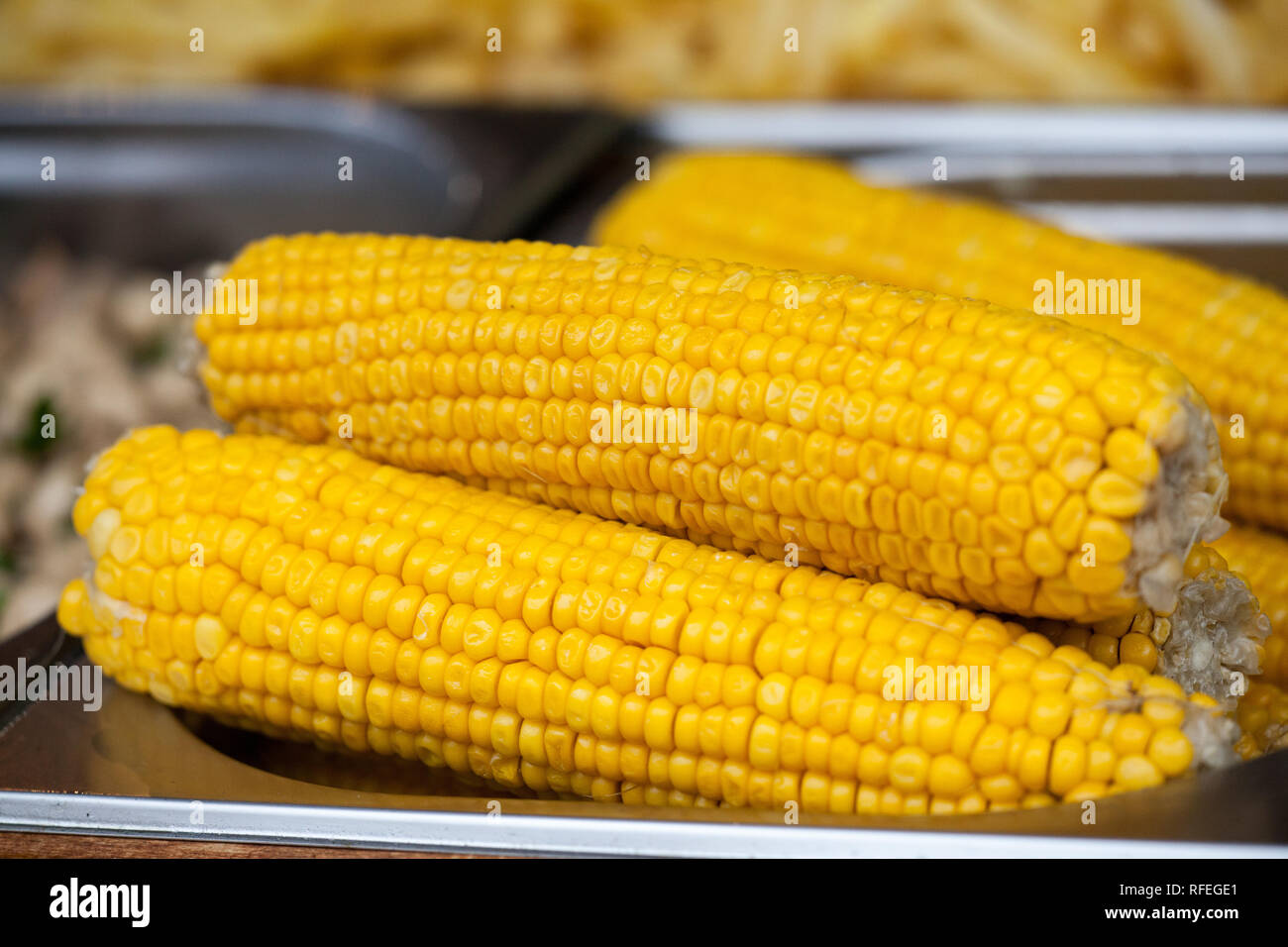 Organic boiled Corn. Vegetables cooked on the fair. Close view on ...