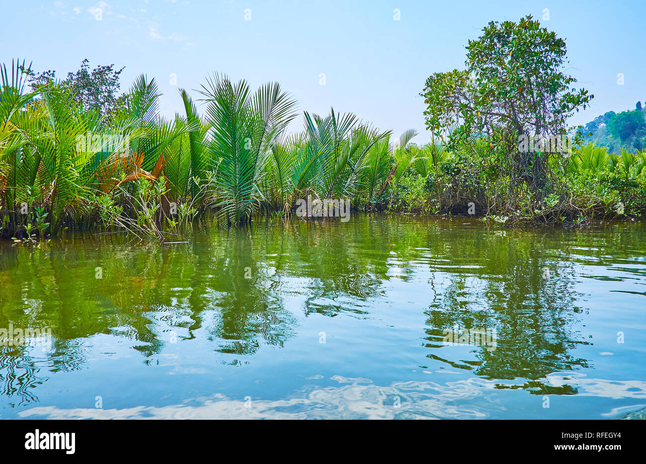 Kangy river kayak tour is the nice choice to watch diverse tropical ...