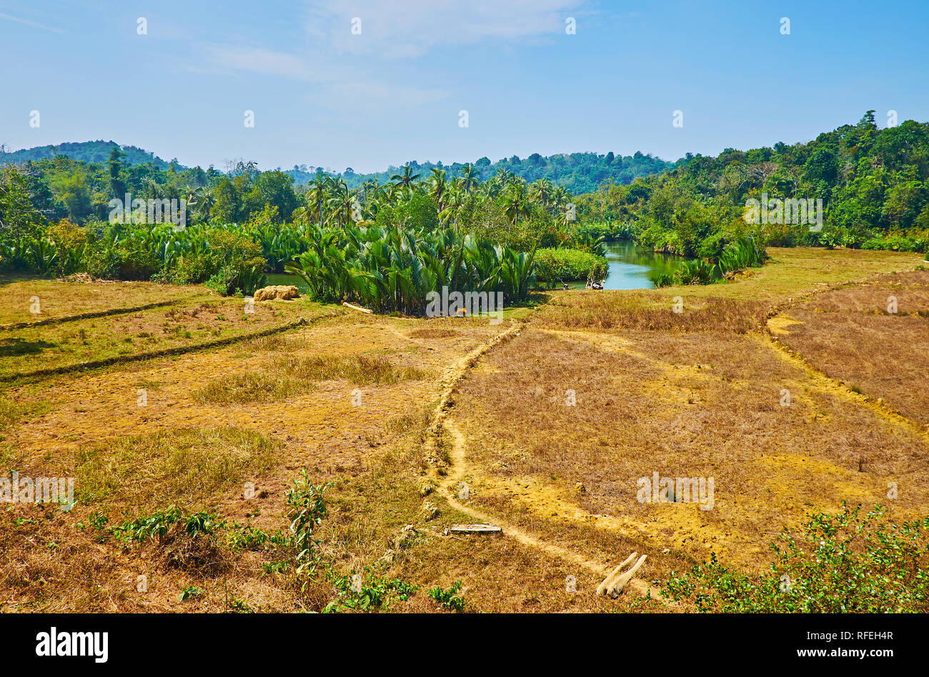 The hilly landscape with fields, jungle and mangrove forests along the ...