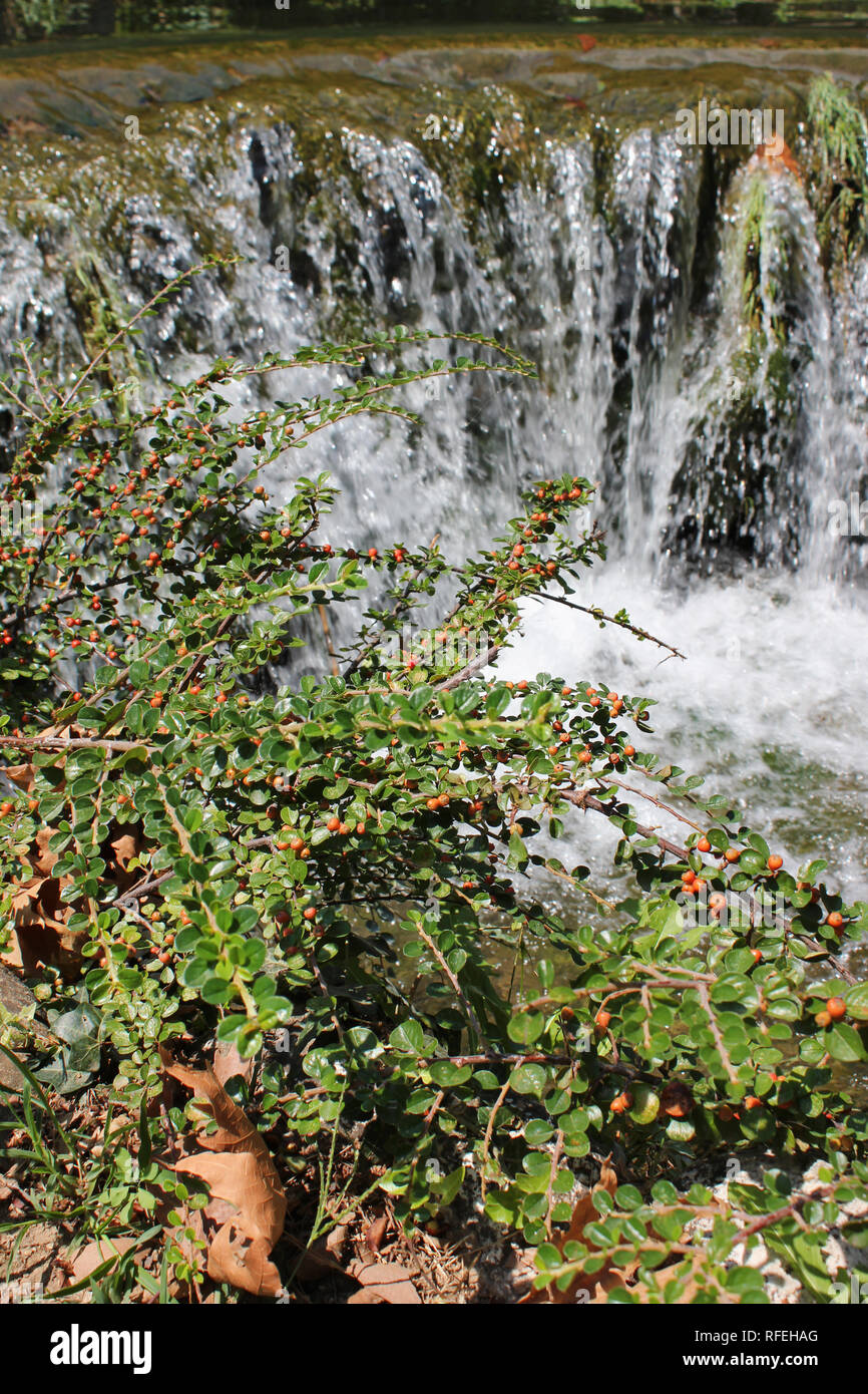 Great waterfalls and waterfall park of Edessa Greece Stock Photo - Alamy
