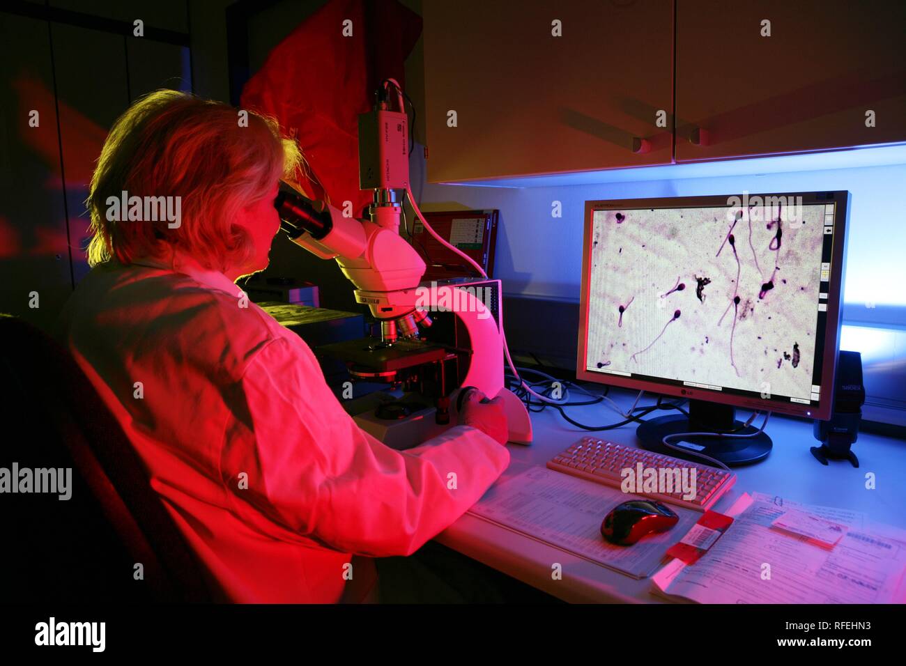 DEU, Germany, Duesseldorf: Police NRW, Federal Police, technical crime ...