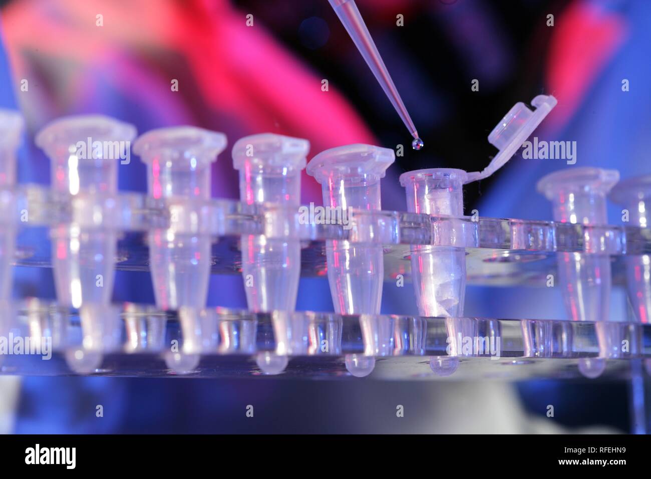 Police forensic laboratory hi-res stock photography and images - Alamy