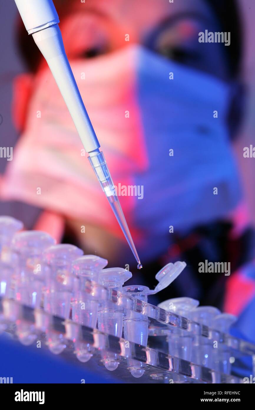 DEU, Germany, Duesseldorf: Police NRW, Federal Police, technical crime ...