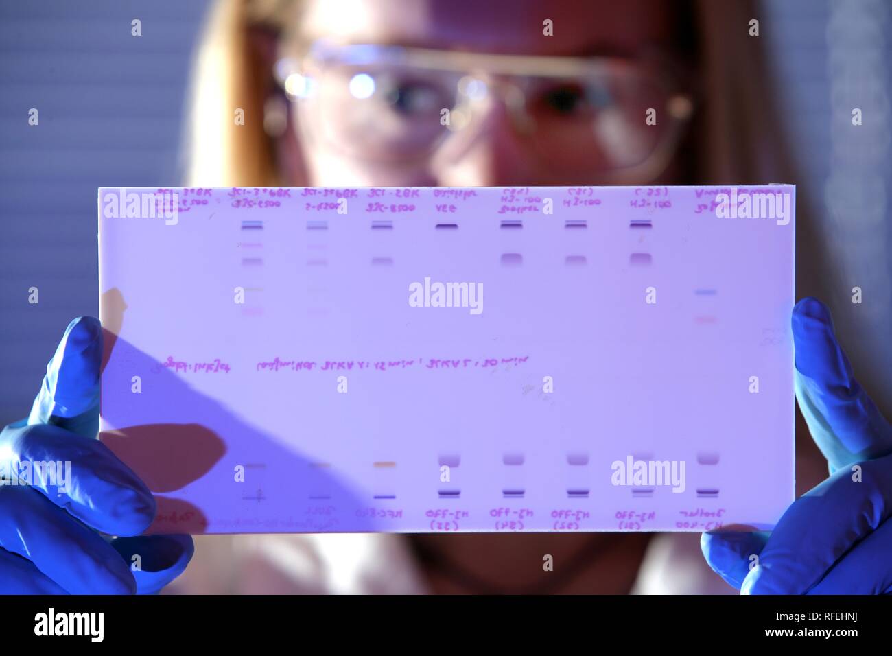 Crime lab technician hi-res stock photography and images - Alamy