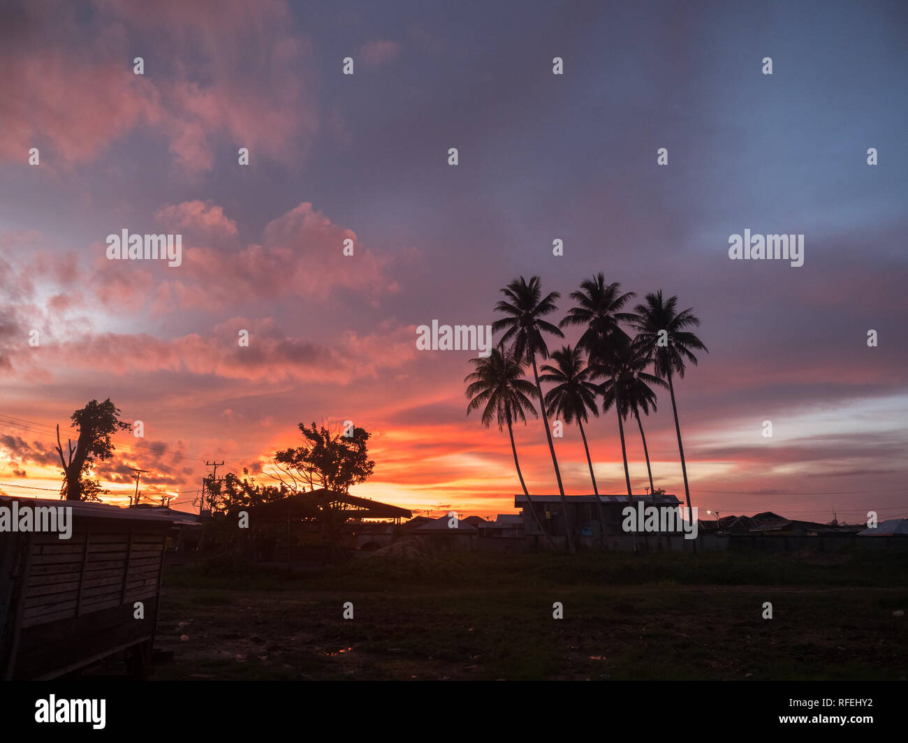 View with silhouettes of palm trees during a tropical sunset, Kaimana ...