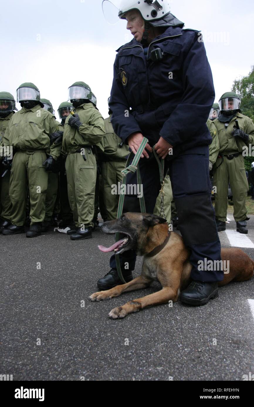 Football fans riot hi-res stock photography and images - Alamy