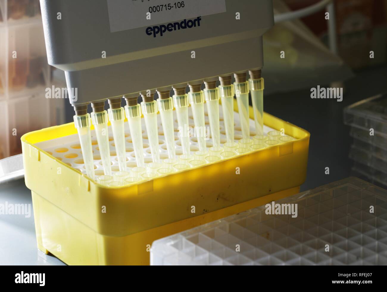 Bio technology in a bio laboratory, analysis of chemical an biological ...
