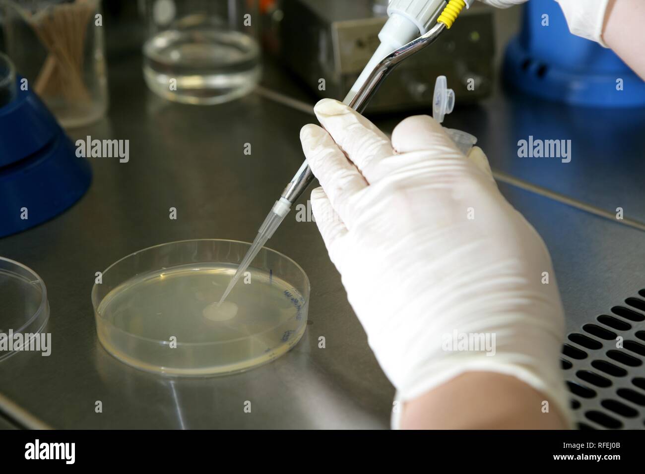 Bio technology in a bio laboratory, analysis of chemical an biological ...