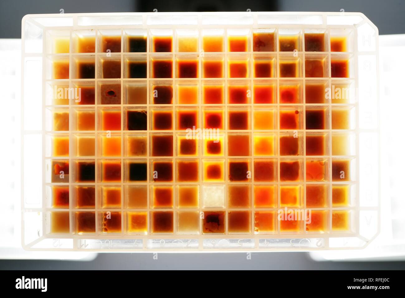 Bio technology in a bio laboratory, analysis of chemical an biological ...