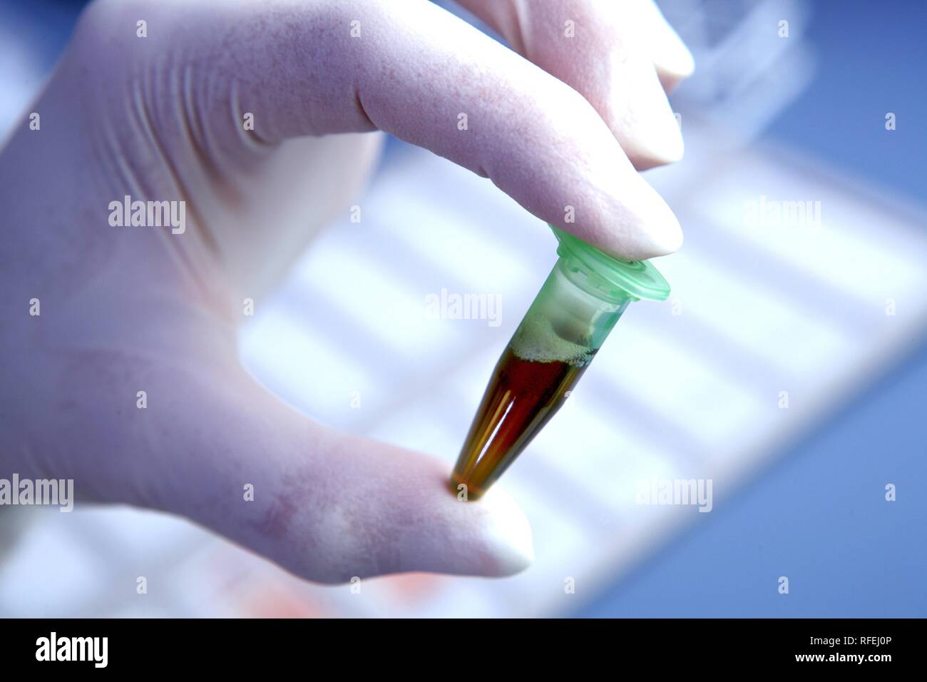 Bio technology in a bio laboratory, analysis of chemical an biological ...