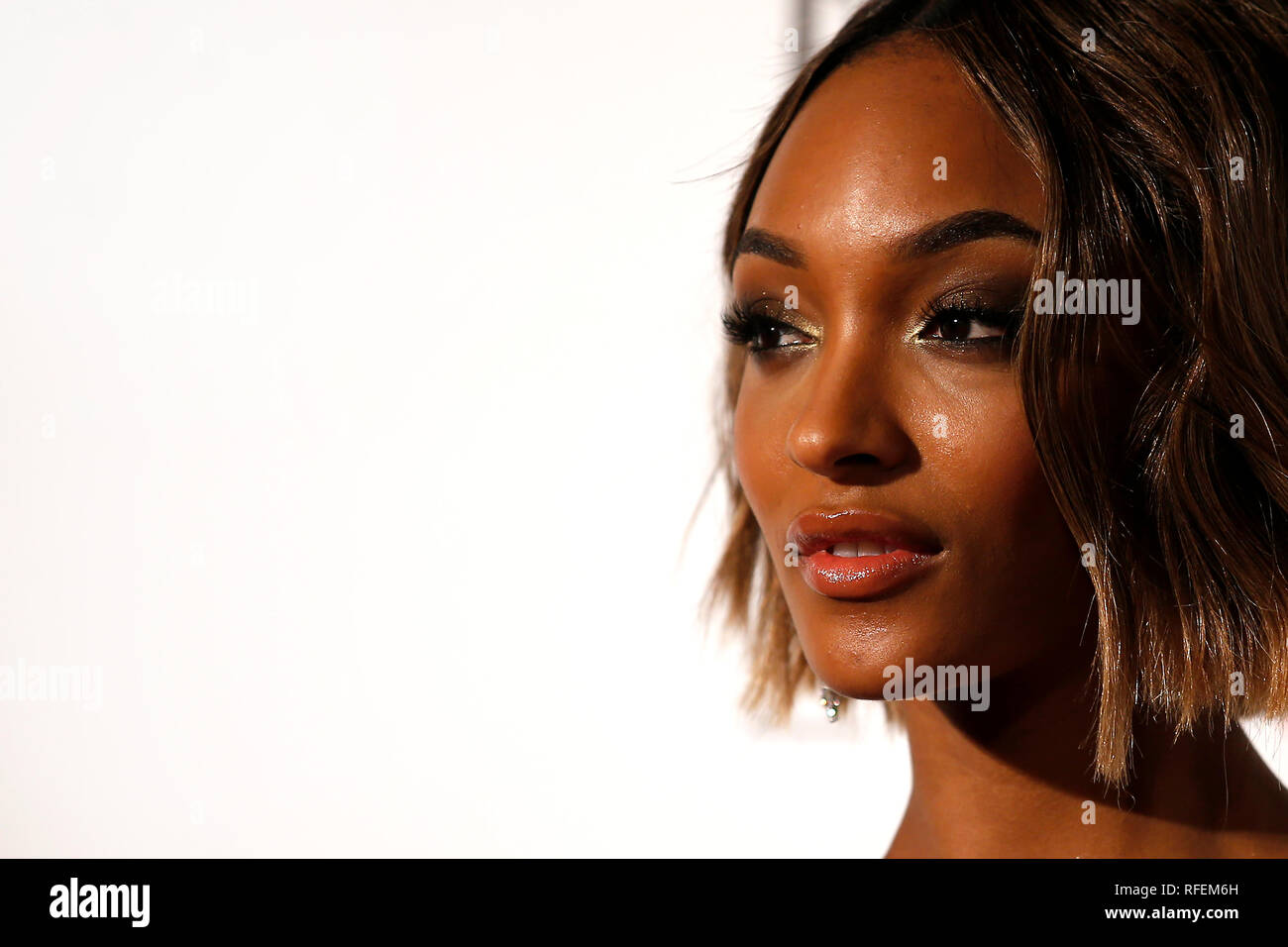 Jourdan Dunn at the Style Awards in London. Feb 2015 Stock Photo - Alamy