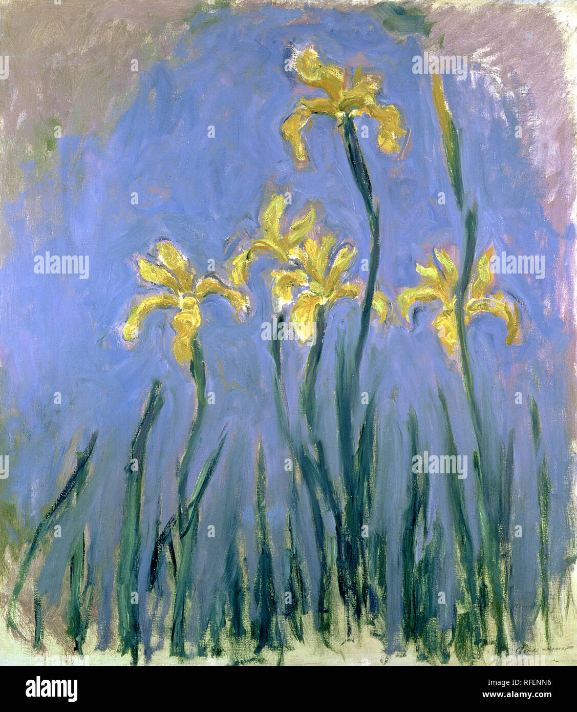Yellow irises by monet hi-res stock photography and images - Alamy