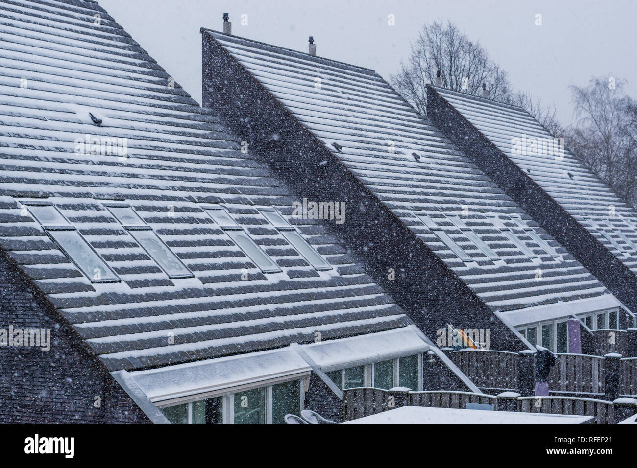 Modern pointed rooftops covered in snow, snowy and cold weather in ...