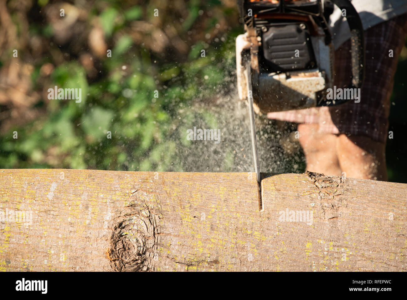 Worker cutting log with chainsaw Stock Photo - Alamy