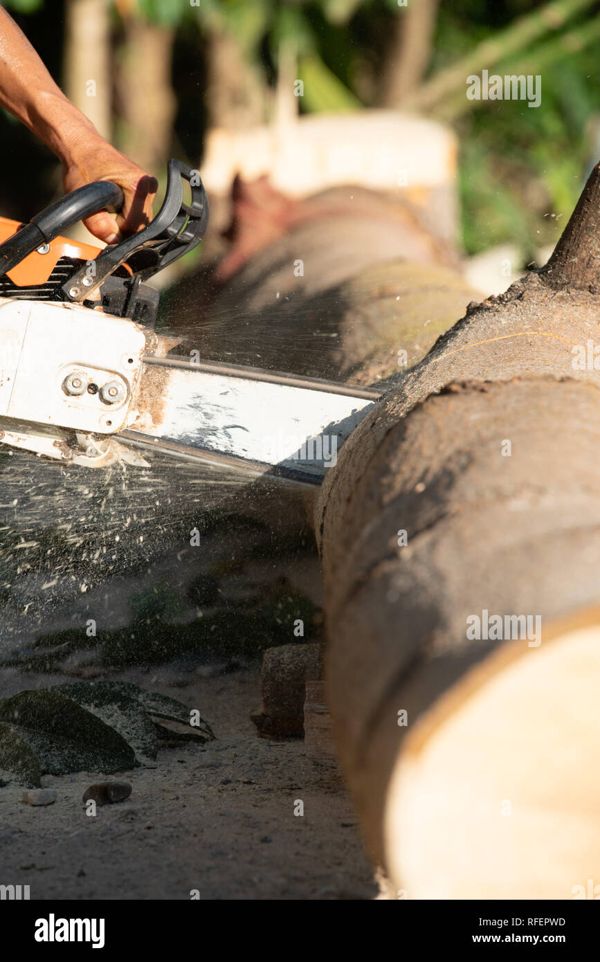 Worker cutting log with chainsaw Stock Photo - Alamy