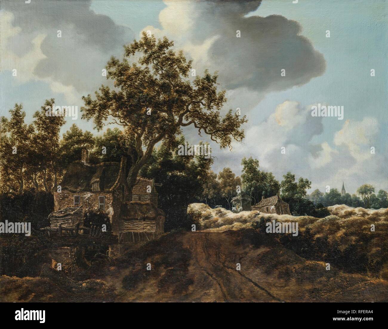 Sun follower hi-res stock photography and images - Alamy