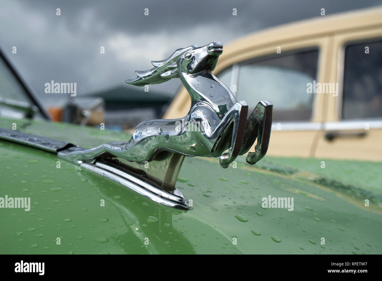 emblem of the retro car GAZ-21 Volga Stock Photo - Alamy