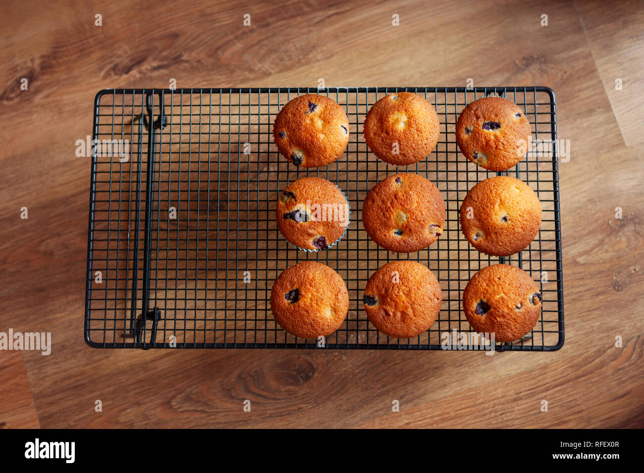 Muffns hi-res stock photography and images - Alamy