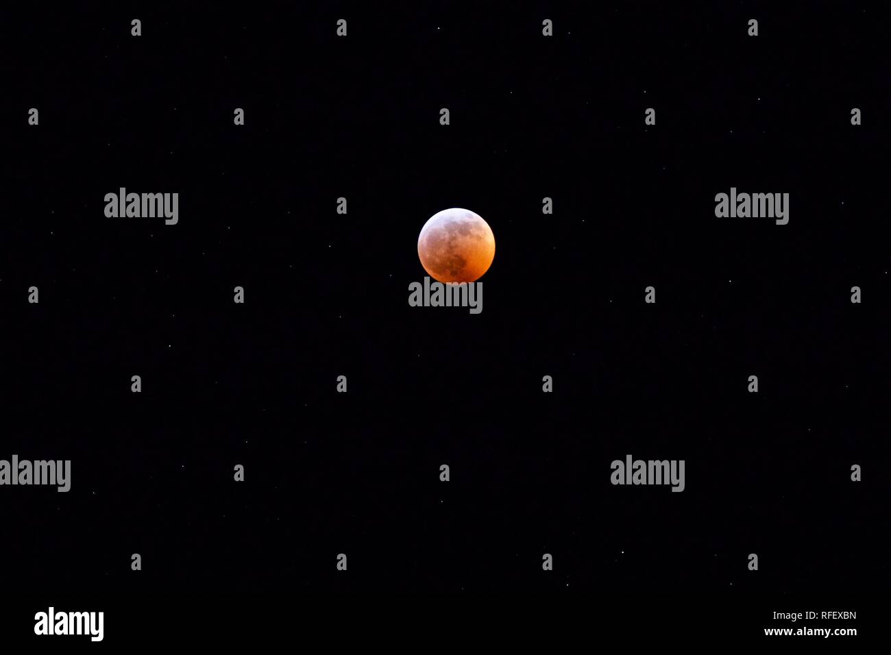 Lunar Eclipse - Super Wolf Blood Moon Stock Photo - Alamy