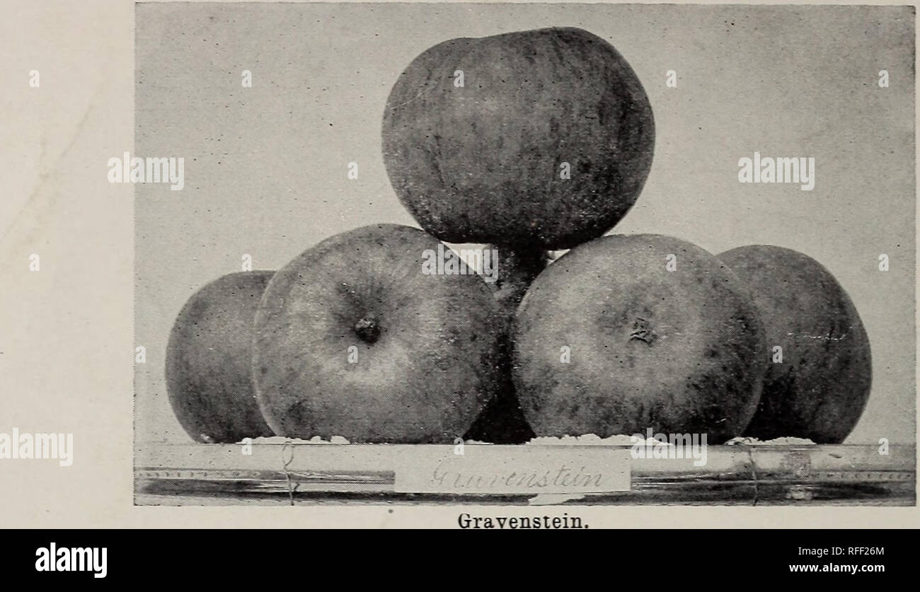 Colton plants hi-res stock photography and images - Alamy