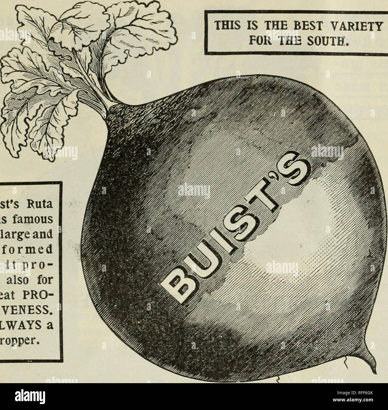 Purple cipher hi-res stock photography and images - Alamy