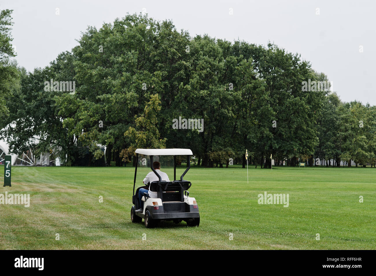 Man driving golf car on the golf course Stock Photo - Alamy