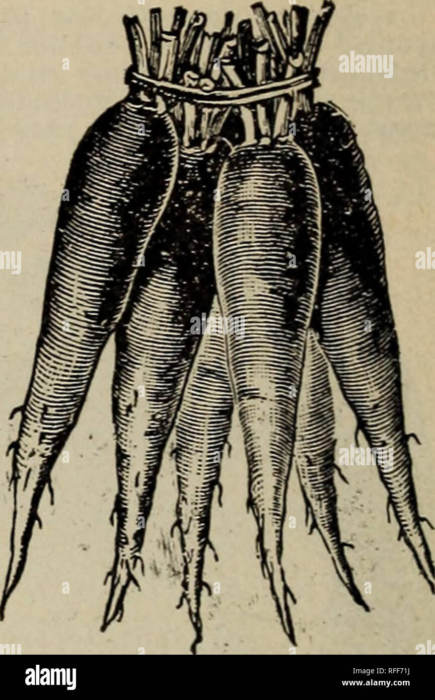 Color standar hi-res stock photography and images - Alamy