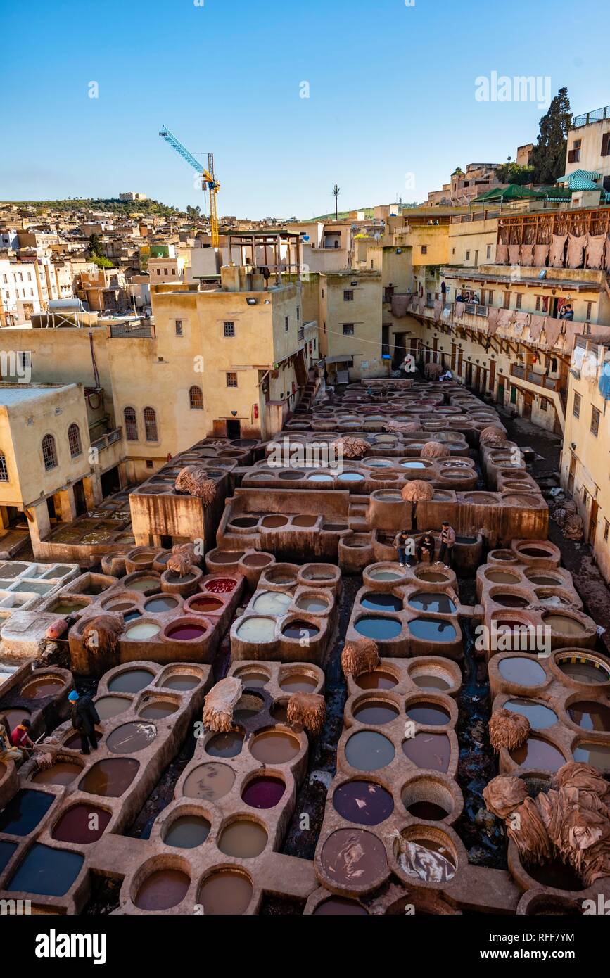 Old dye plant hi-res stock photography and images - Alamy