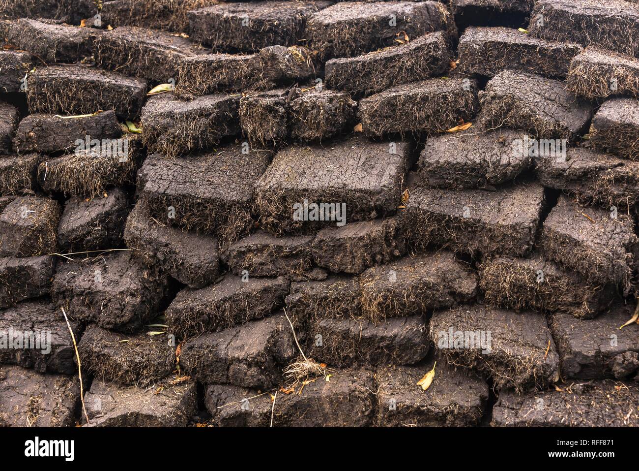 Peat bog britain hi-res stock photography and images - Alamy