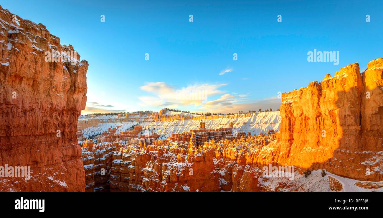 Good morning snow hi-res stock photography and images - Alamy