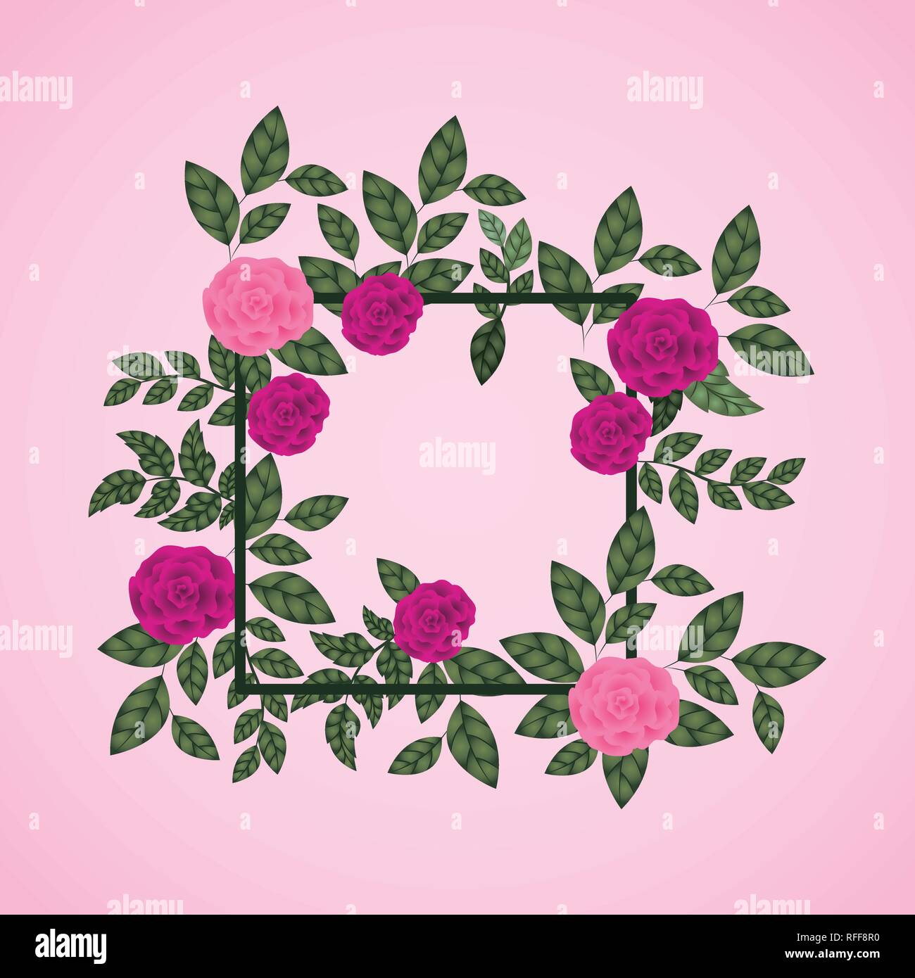 flowers roses decoration square frame Stock Vector Image & Art - Alamy