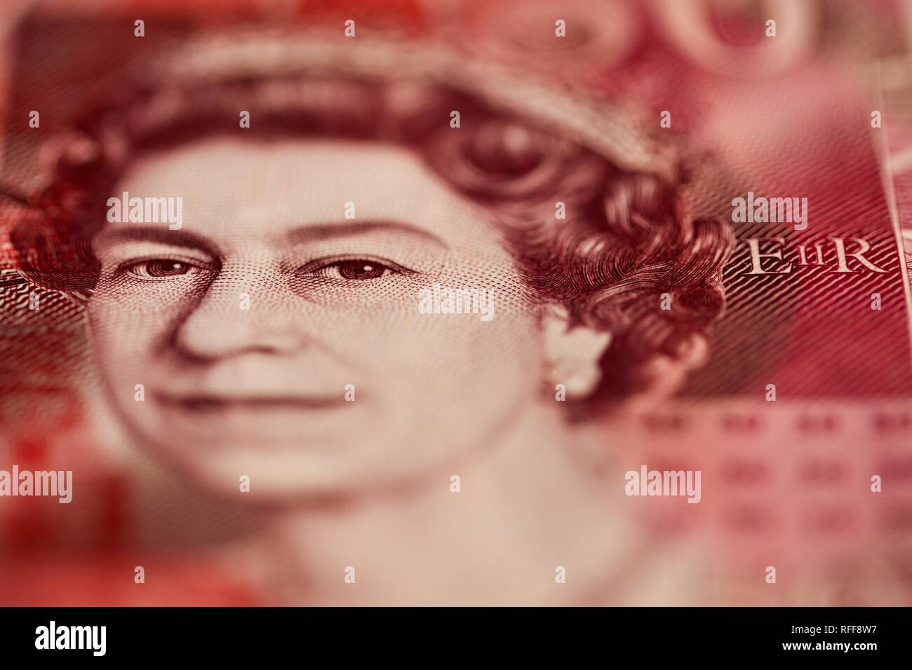 Portrait of Queen Elizabeth II on a £50 note Stock Photo - Alamy