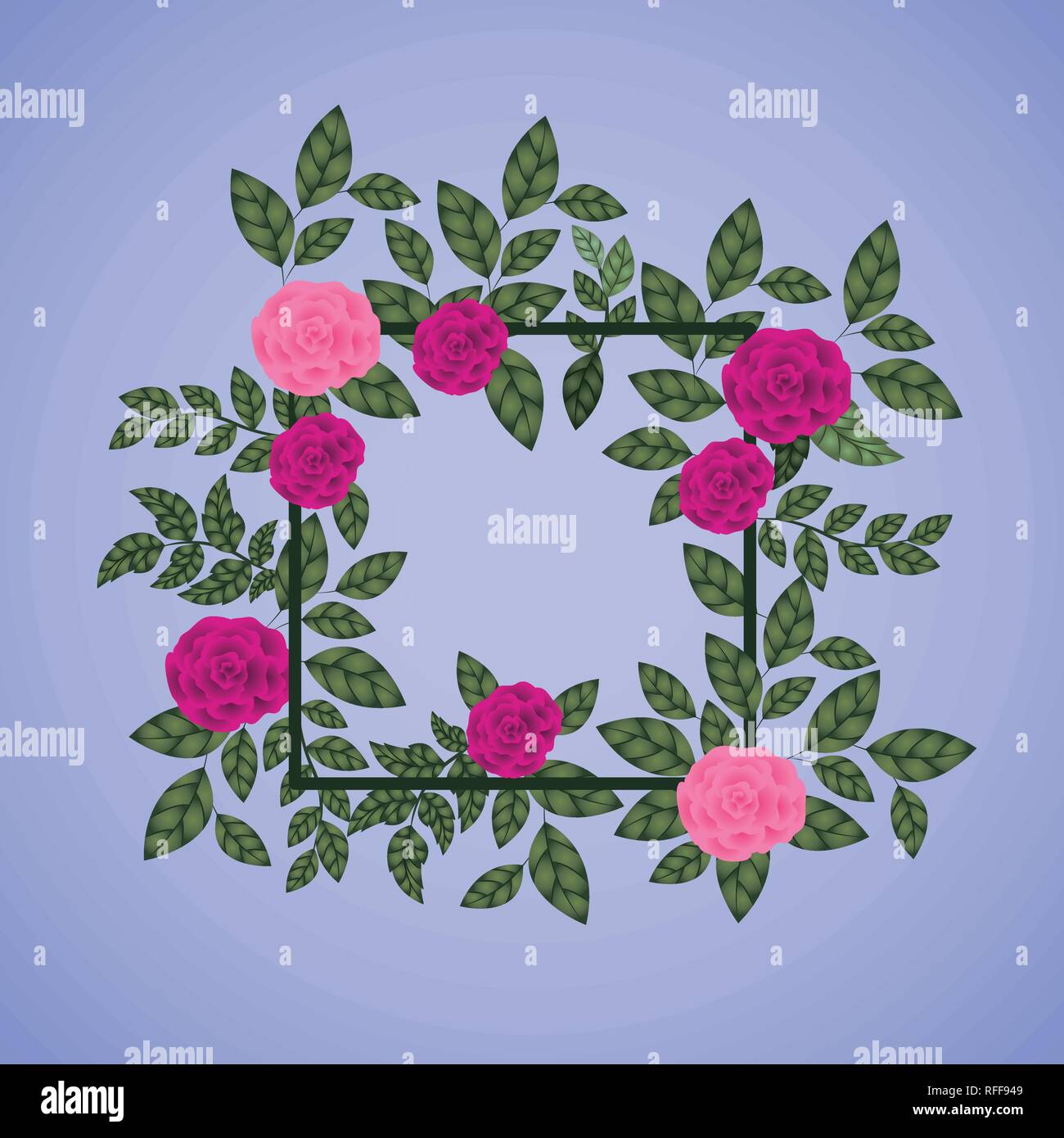 flowers roses decoration square frame Stock Vector Image & Art - Alamy
