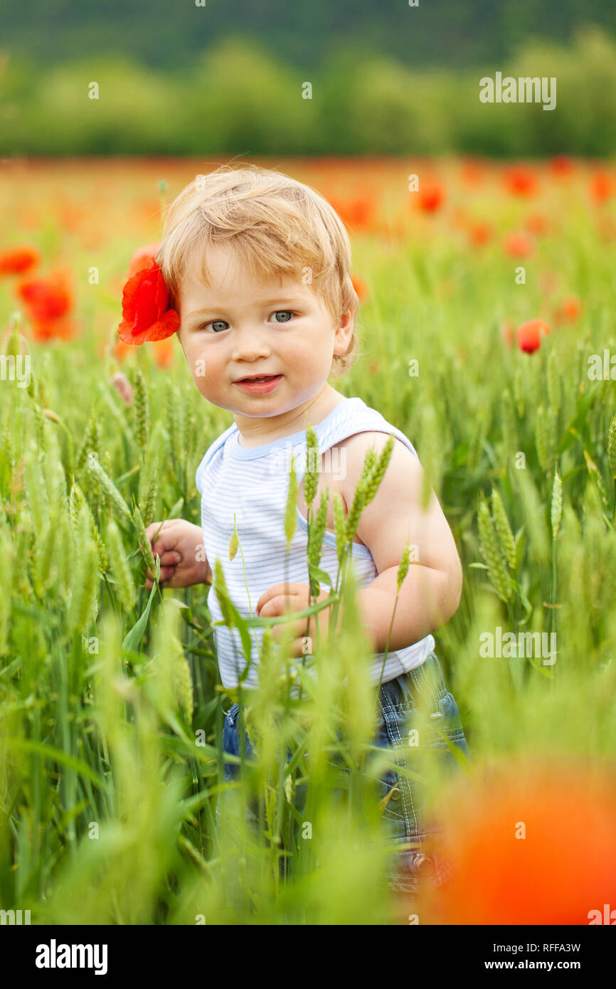 Cute little boy in poppy field Stock Photo - Alamy
