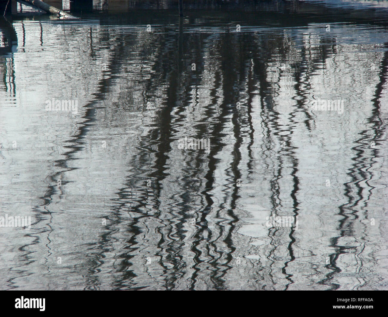 Traces of trees in clear water.Winter dream on the Borcea arm Stock ...