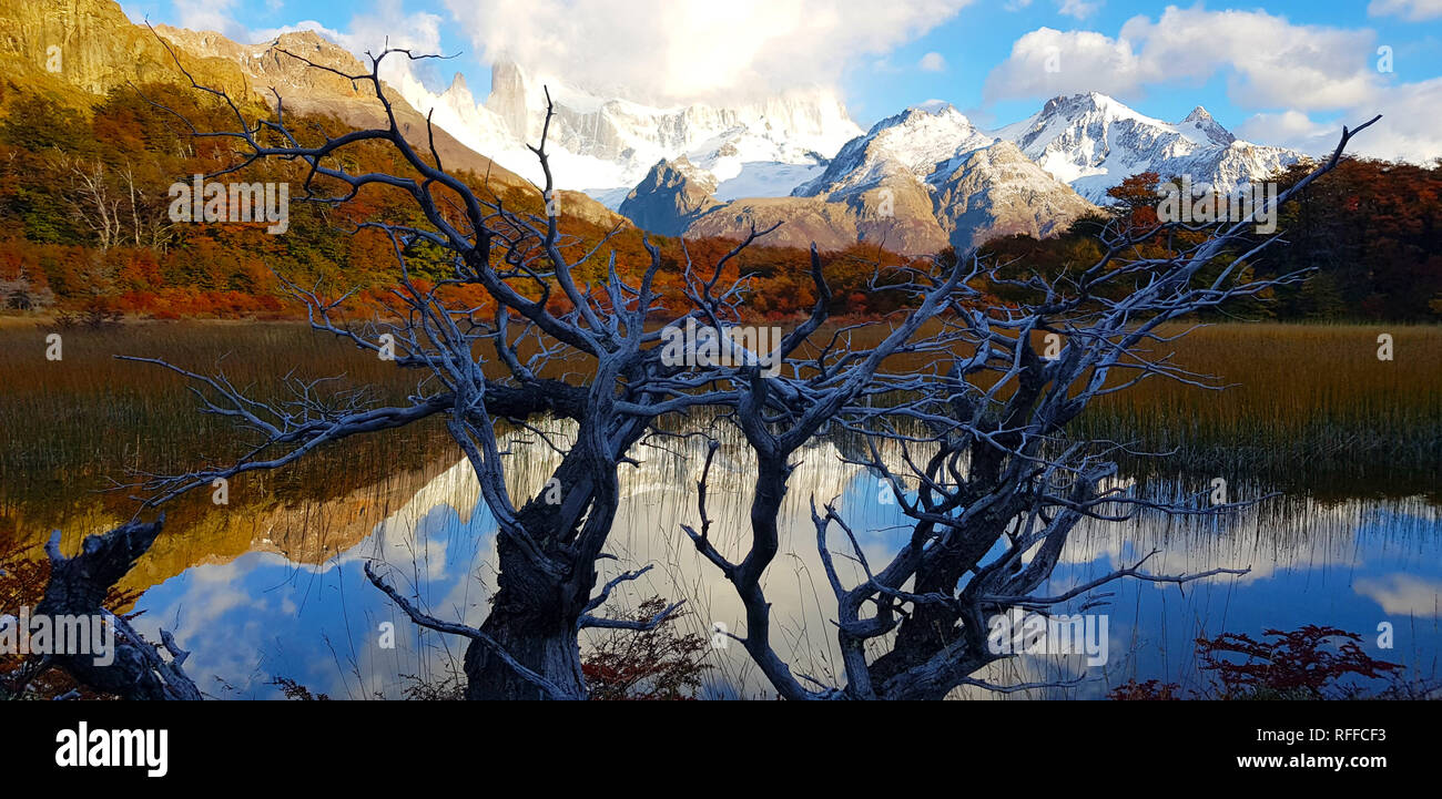 Mount fitz roy lake trees hi-res stock photography and images - Alamy