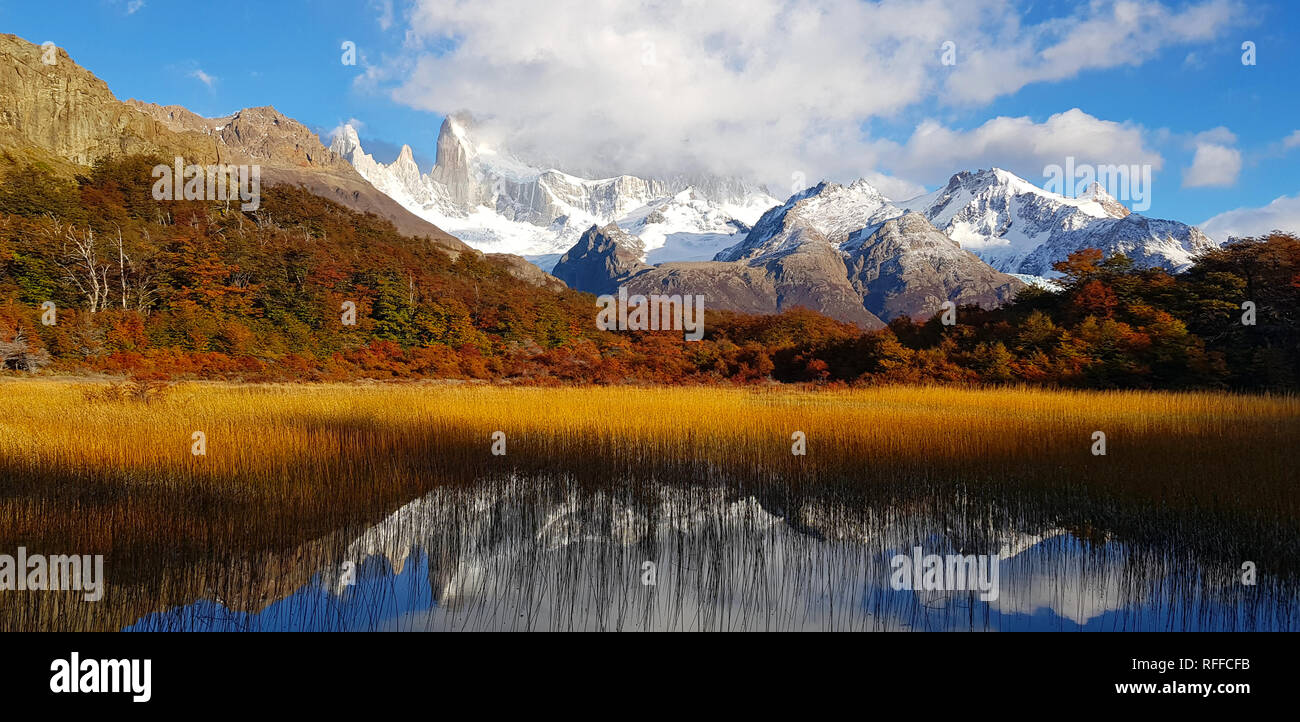 Mount fitz roy lake trees hi-res stock photography and images - Alamy