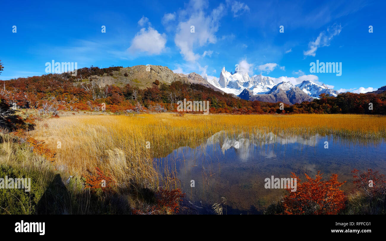 Mount fitz roy lake trees hi-res stock photography and images - Alamy