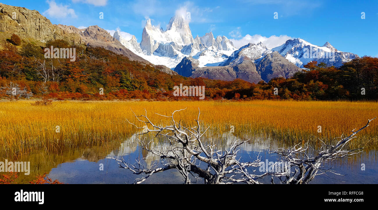 Mount fitz roy lake trees hi-res stock photography and images - Alamy