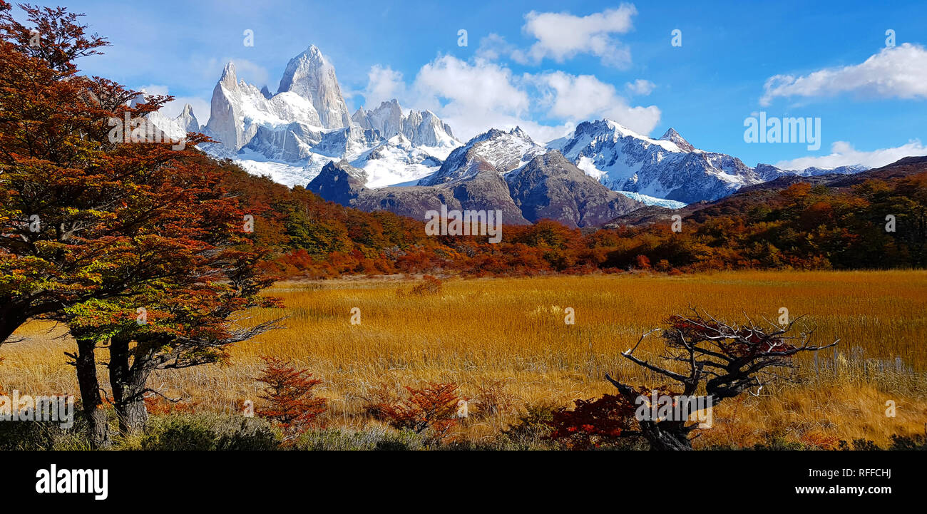 View of Mount Fitz Roy with trees in autumn colors, El Chalten ...