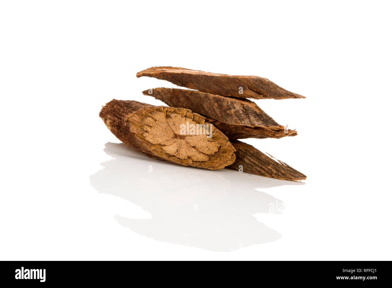Ye Jiao Teng Chinese Medical Herb isolated on white background. Nourish ...