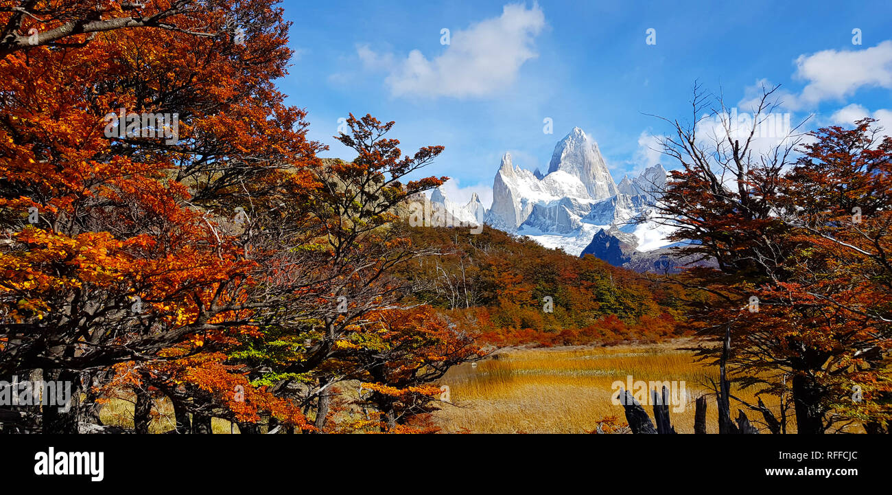Mount fitz roy lake trees hi-res stock photography and images - Alamy
