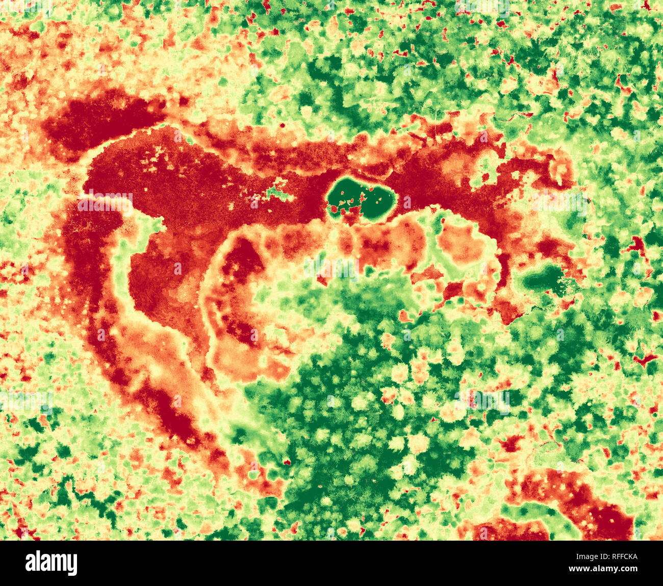 Aerial NDVI image of forest surrounding a bog area Stock Photo - Alamy