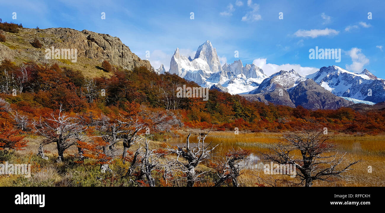 Mount fitz roy lake trees hi-res stock photography and images - Alamy