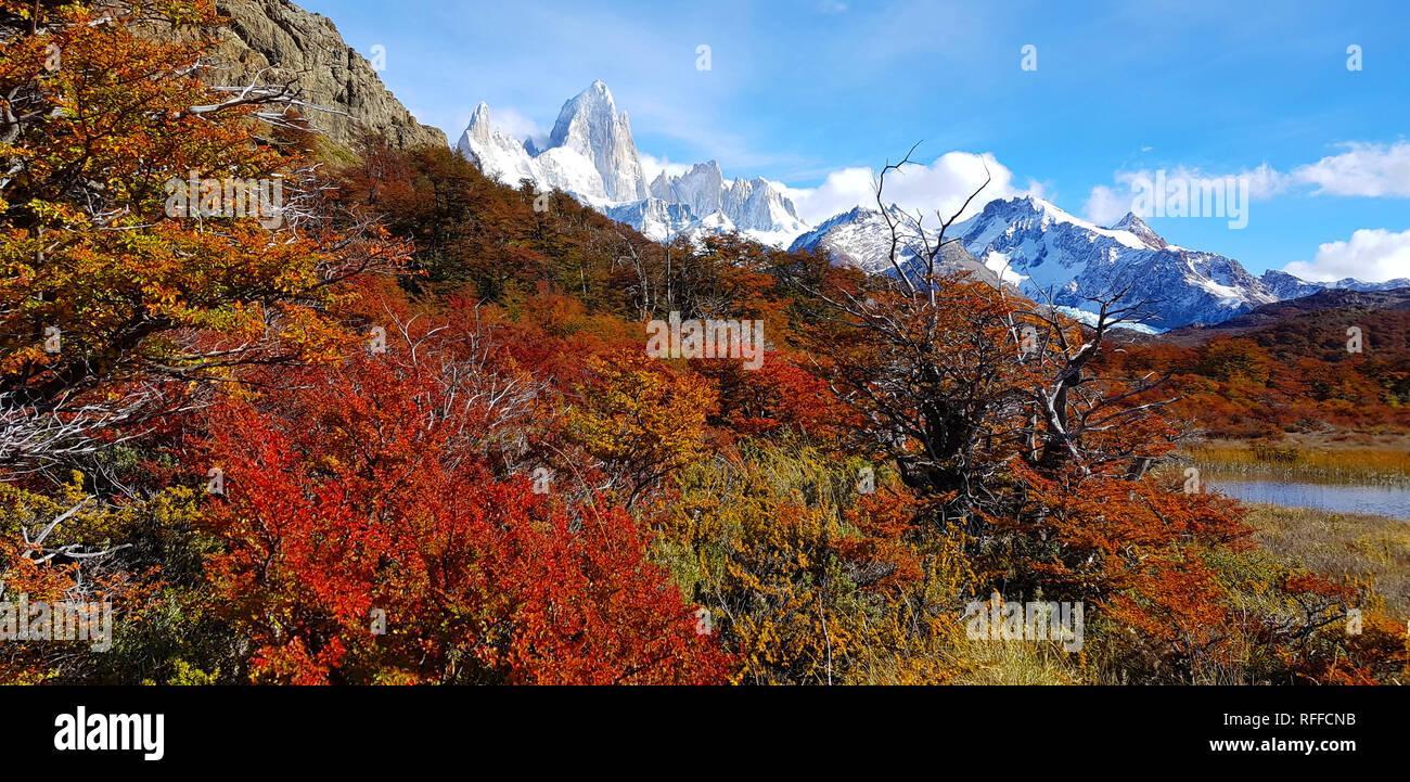 Mount fitz roy lake trees hi-res stock photography and images - Alamy