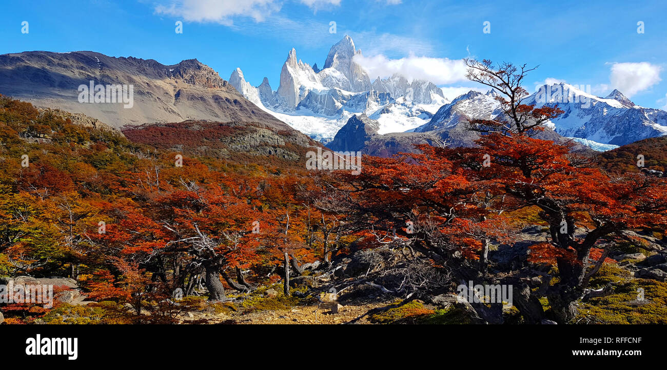Mount fitz roy lake trees hi-res stock photography and images - Alamy
