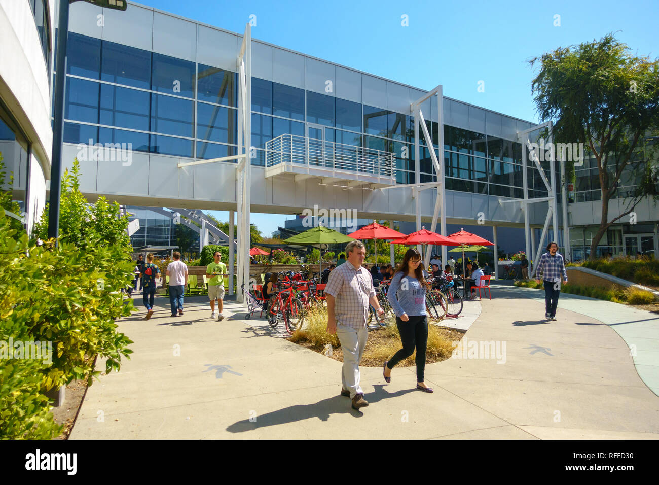 Google office employees working hi-res stock photography and images - Alamy