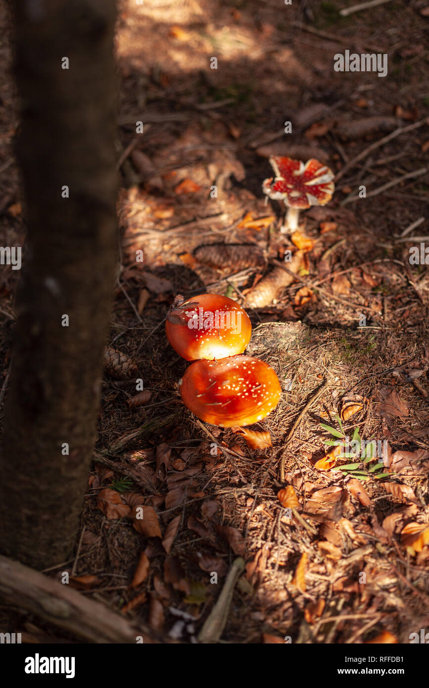 Luck at an angle hi-res stock photography and images - Alamy